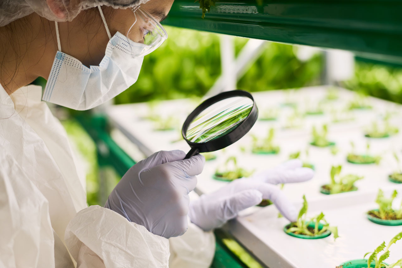 NZ Food research Lab